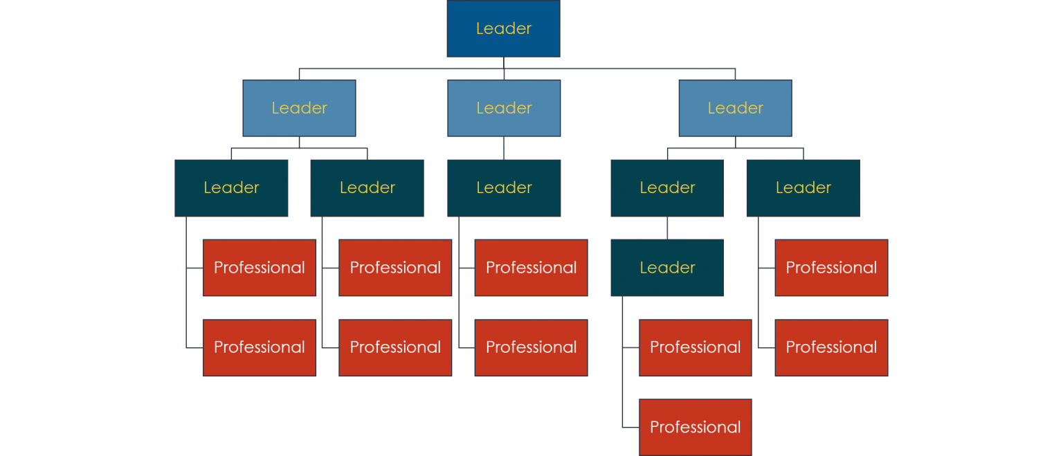 3A. Vertical Management 1.0 Structure | MMI Wiki
